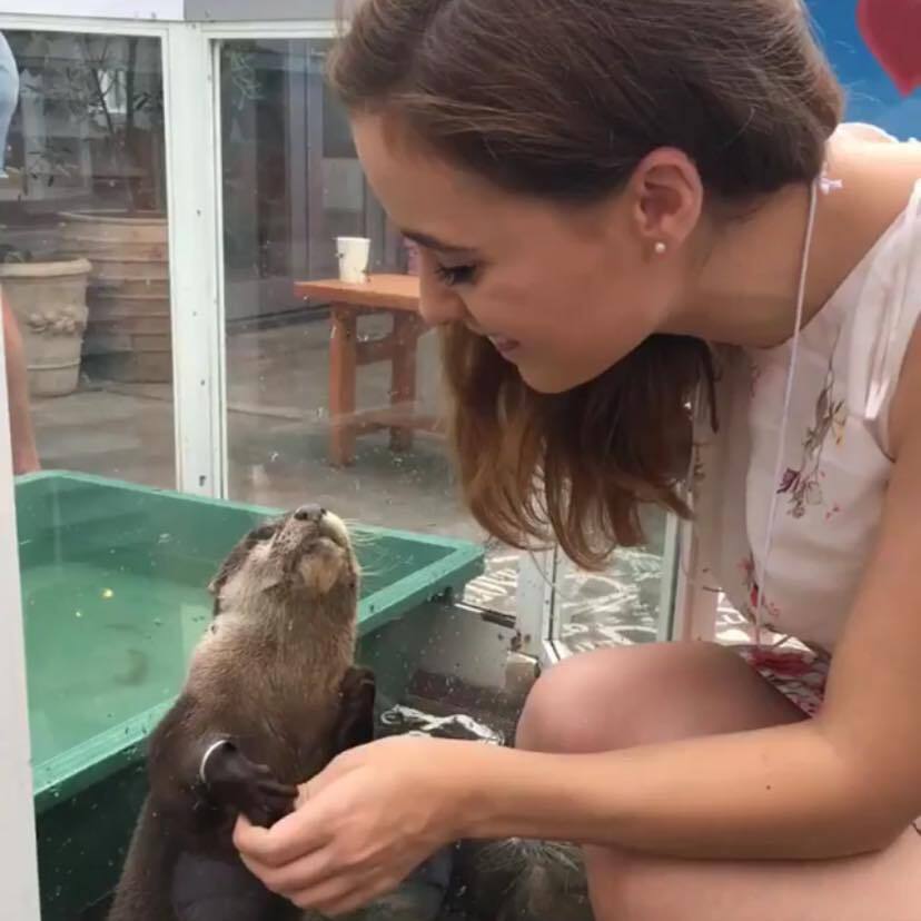 Featured SheCodes Projects | SheCodes